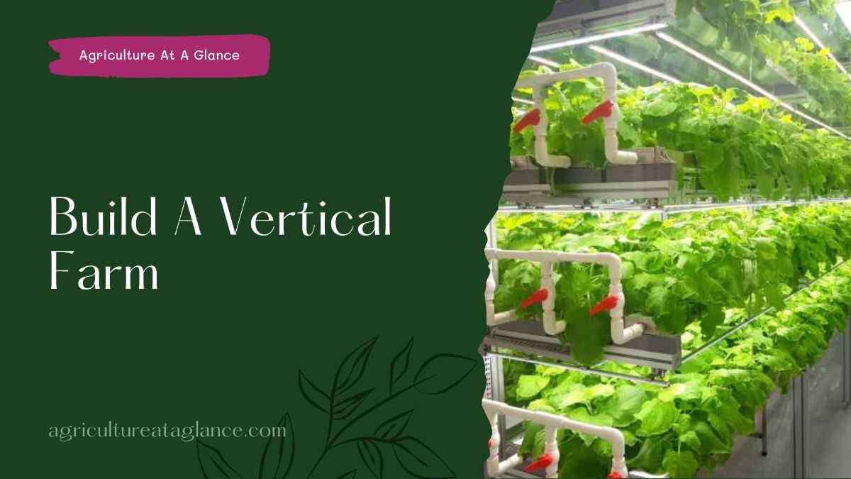 10 Steps To Build A Vertical Farm In Your Backyard — Agriculture At A ...