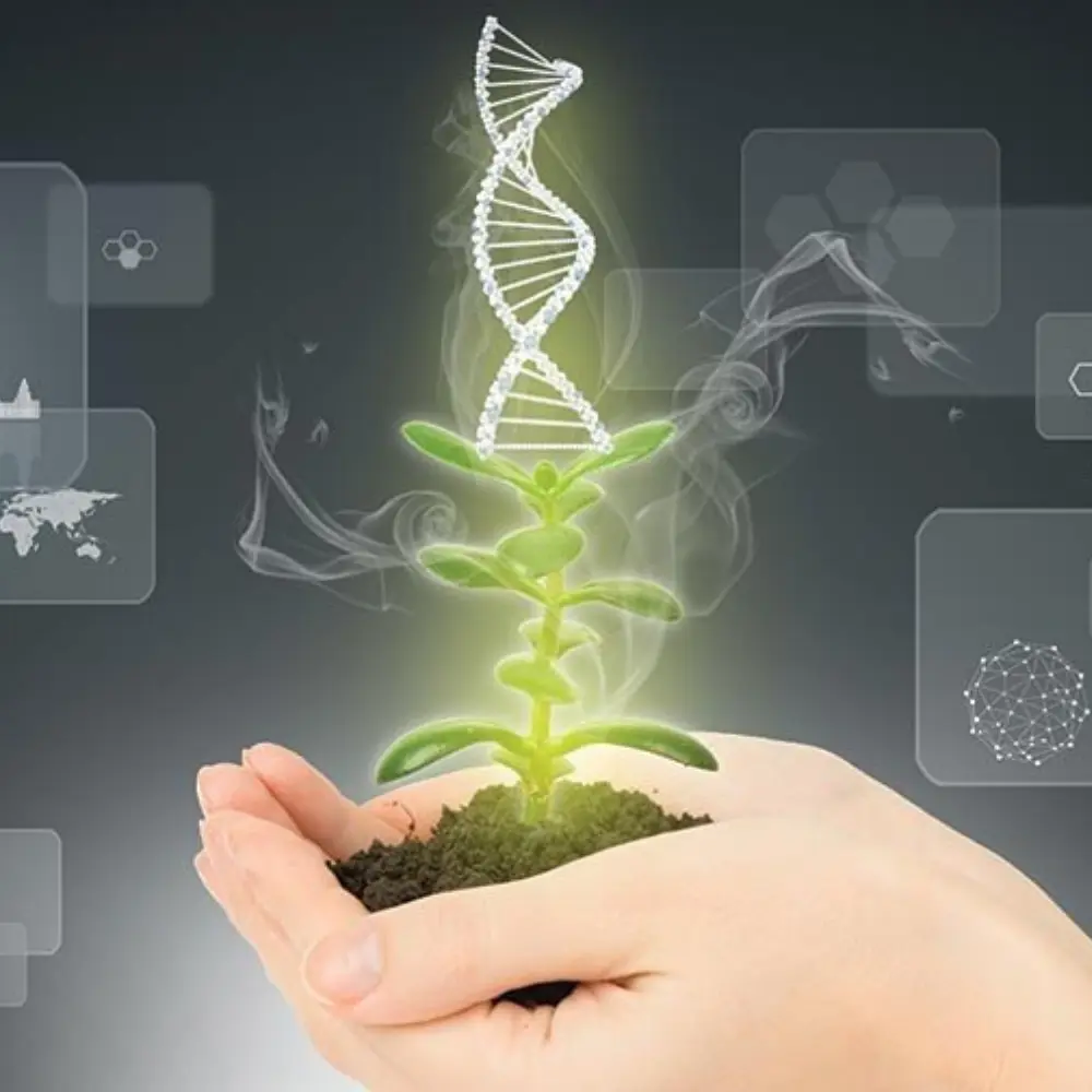Genetics & Plant Breeding — Agriculture At A Glance Genetics & Plant Breeding — Agriculture At A Glance